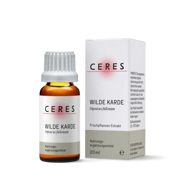 Taraxacum Urtinktur - Ceres Heilmittel Deutschland